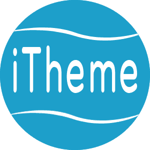 Thiết kế Website chuyên nghiệp Đa ngành, Đa lĩnh vực | iTHEME.VN